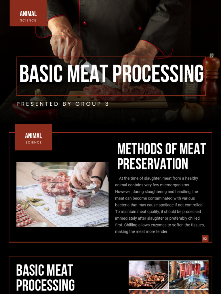 Basic Meat Processing Part 3 | PDF | Curing (Food Preservation) | Bacon