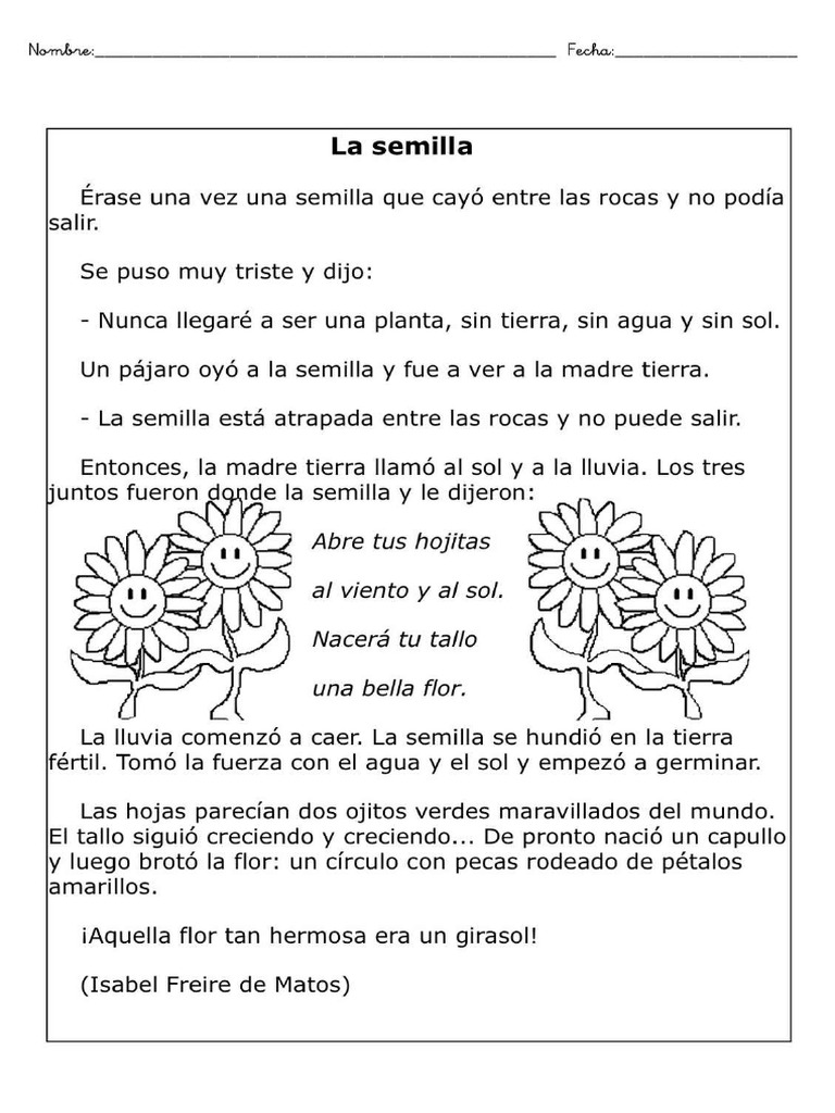 Comprension Lectora de Tercero | PDF