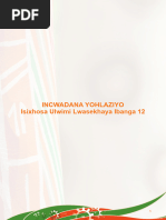 Essay Writing Notes, Isizulu. | PDF | Writing | Human Communication