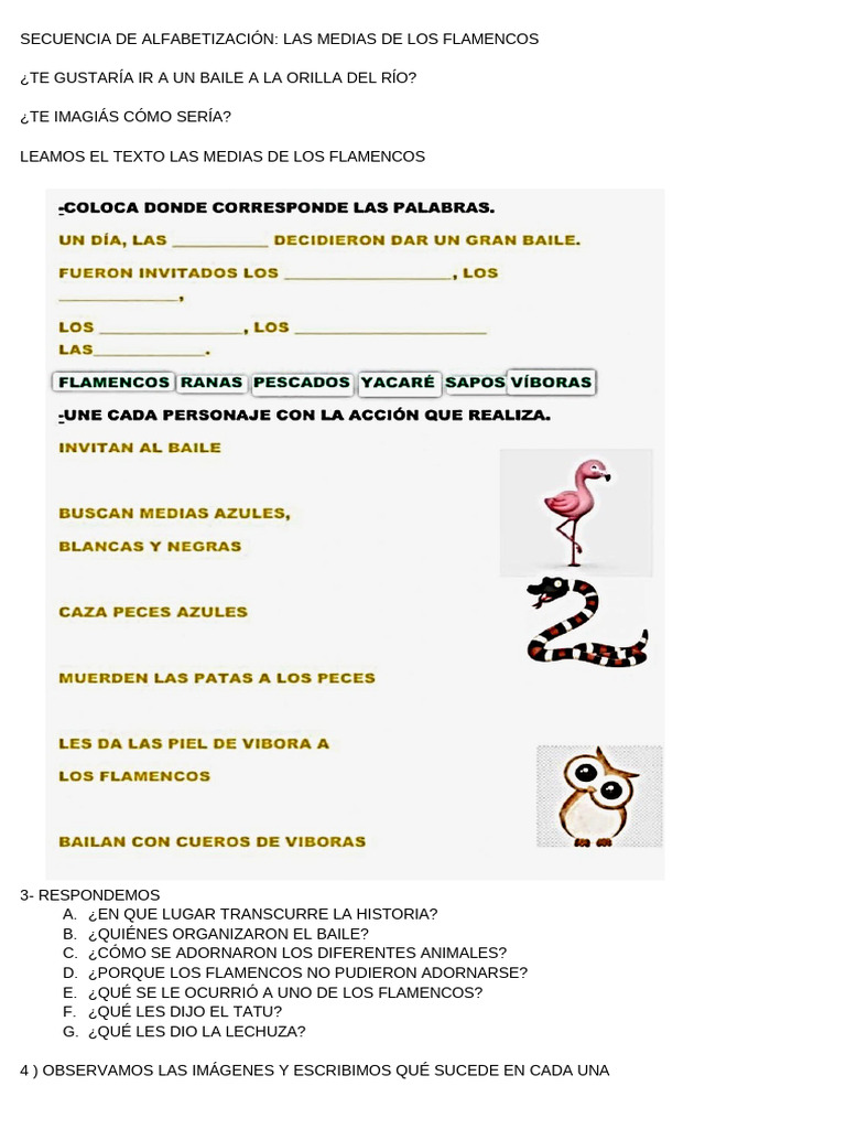 Las Medias de Los Flamencos Alfabetización | PDF