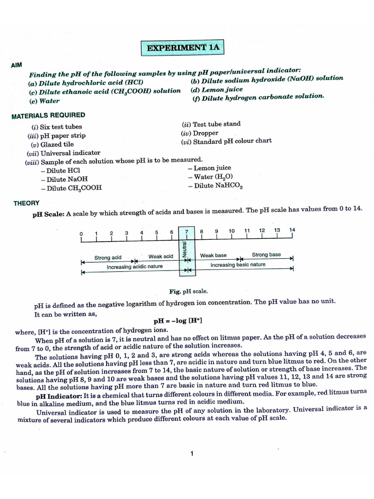 Practical Class 10 (2023-24) | PDF