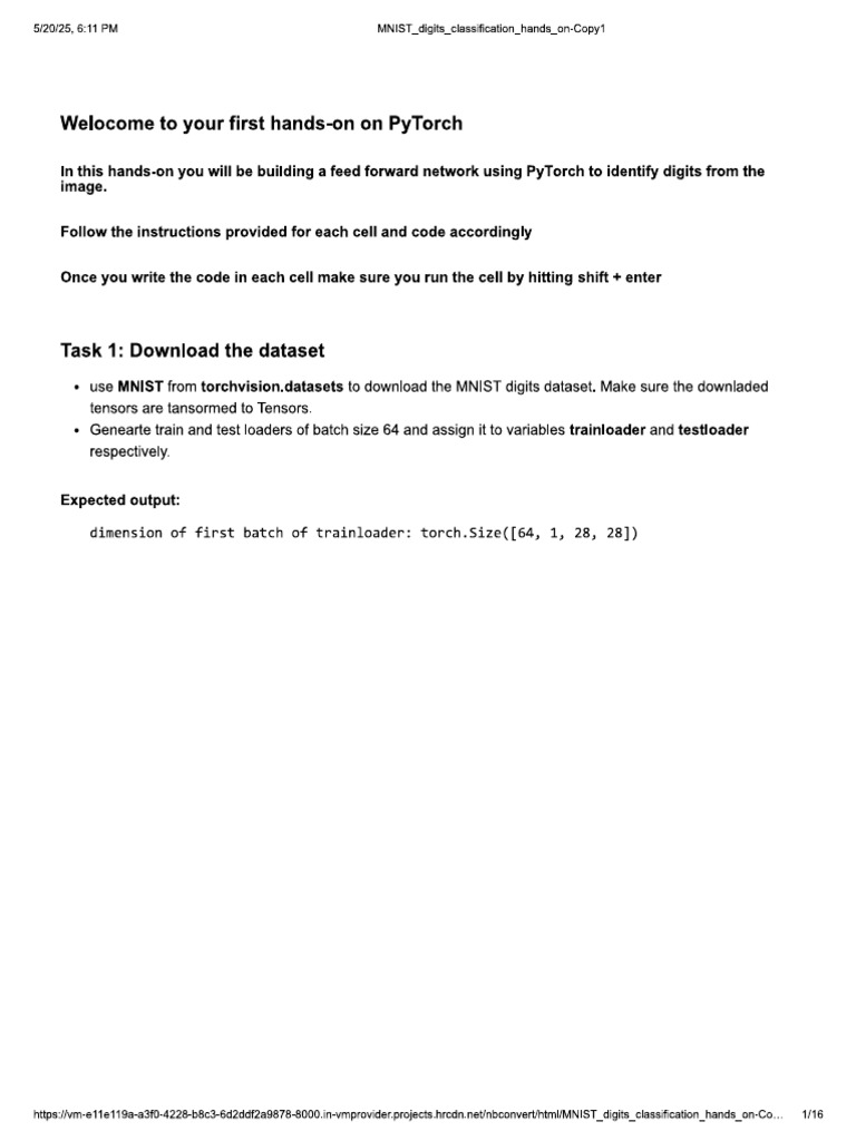 Pytorch MNIST Digits Prediction Hands On 1 | PDF