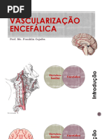 Forames Do Crânio | PDF | Neuroanatomia | Anatomia humana