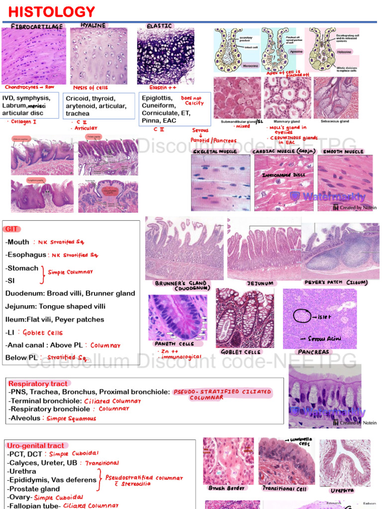 Comprehensive Histology Overview | PDF