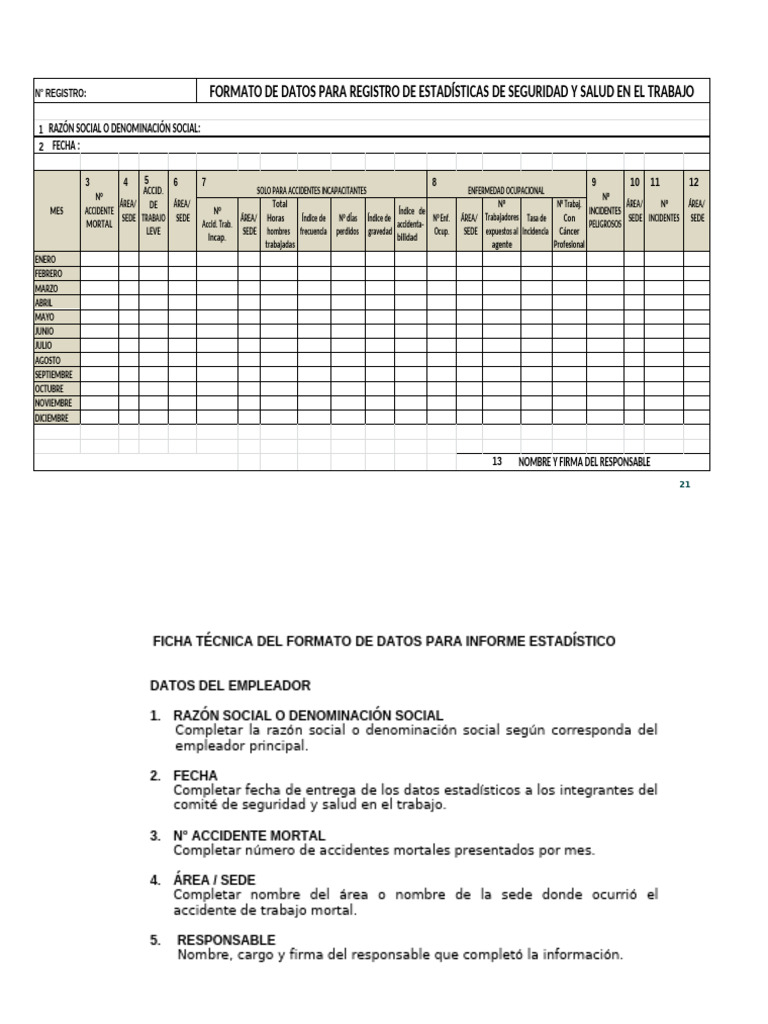Formato de Datos para Informe Estadístico | PDF