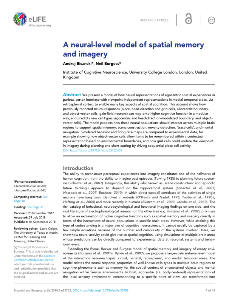 Neural Model of Spatial Memory | PDF | Memory | Perception