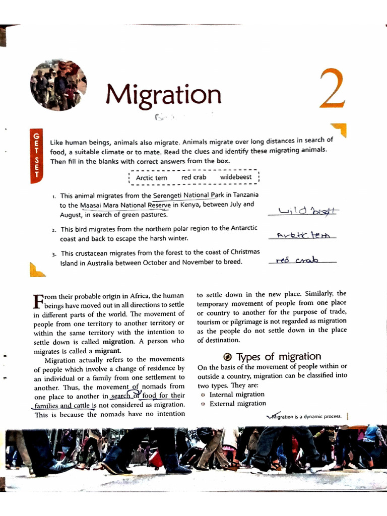 Default Folder 2025.02.08 | PDF