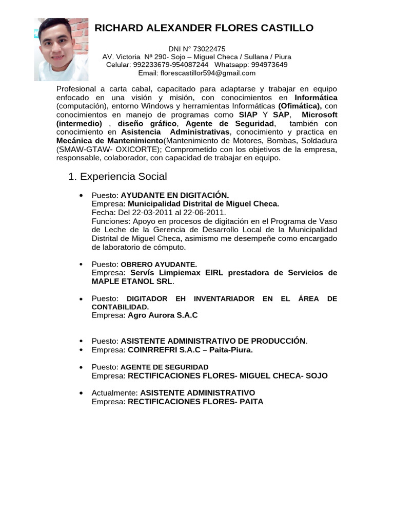 Richard Alexander Flores Castillo CV 2024 | PDF | Software | Informática