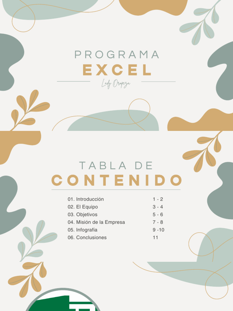 Programa Excel Lady Oropeza | PDF