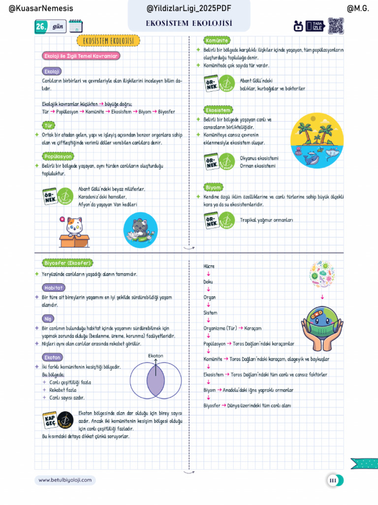 _2025_Betül_Biyoloji_28_Günde_TYT_Video_Kamp_Kitabı | PDF