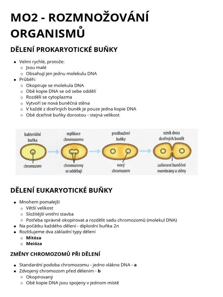 MO2 - ROZMNOŽOVÁNÍ ORGANISMŮ | PDF