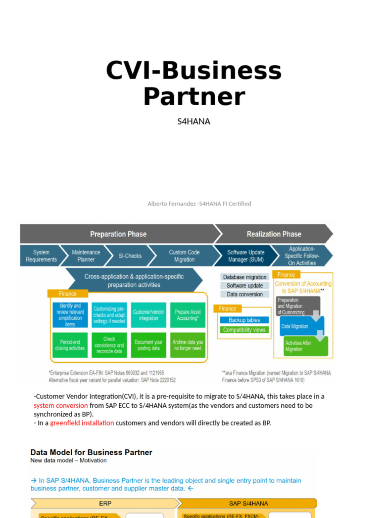 BusinessPartner-CVI v2-25.03.2021 | PDF | Software Engineering | Information Technology