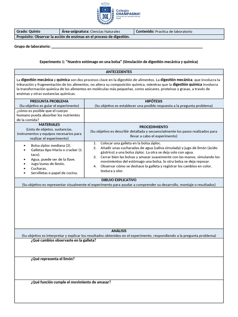 Ficha de Laboratorio - 5 2B | PDF | Digestión | Alimentos