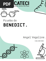 Laboratorio 1.1 Prueba de Benedict | PDF | Carbohidratos | Sustancias ...