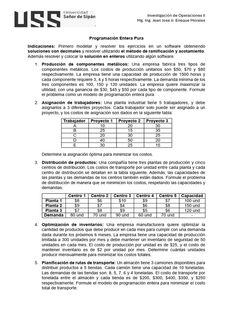 Ejercicios Programación Entera | PDF | Software | Business