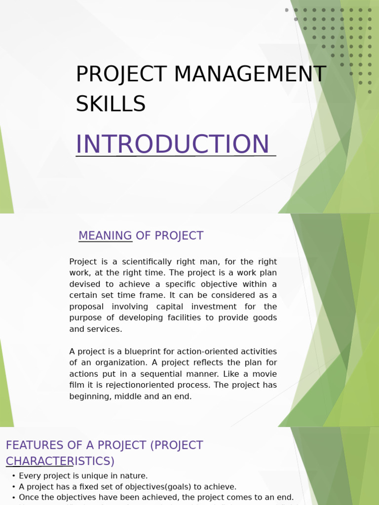 Project Management Slides | PDF | Project Management | Risk
