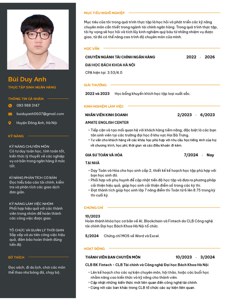 CV Bùi Duy Anh | PDF