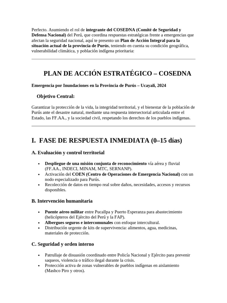 Plan Dea Accion Purus 1 | PDF | Valores