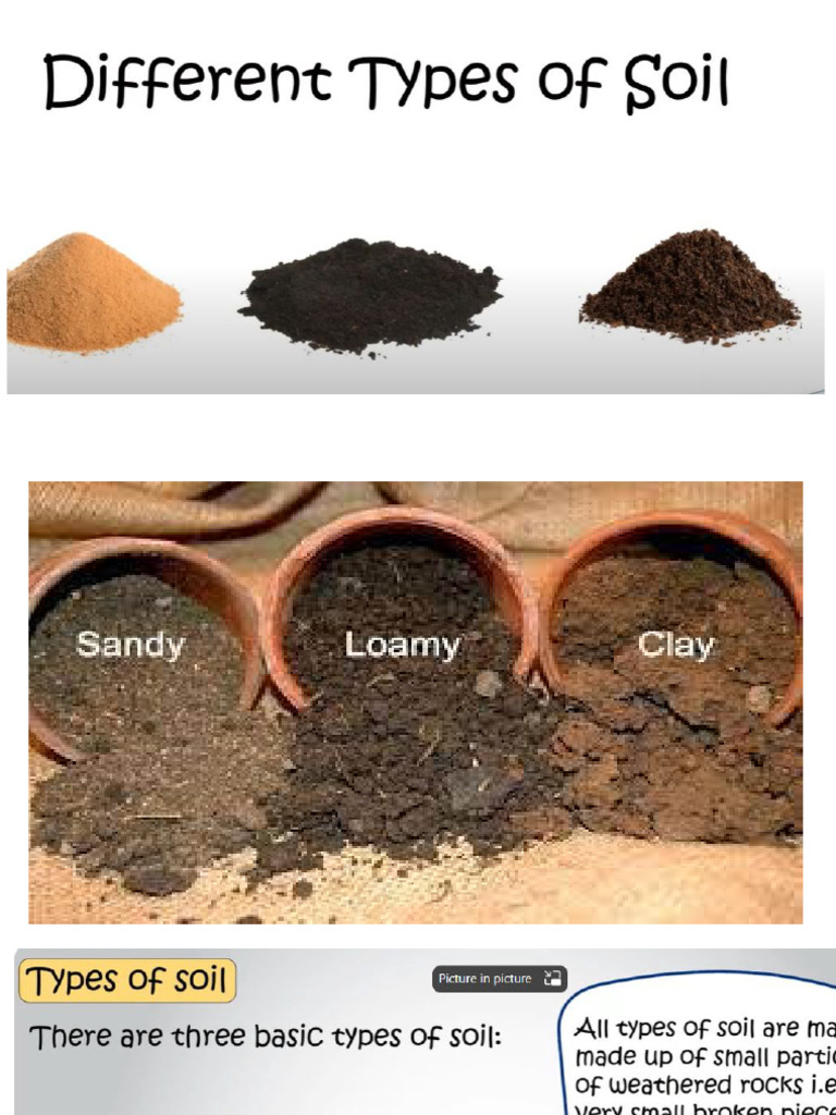 Life Science Soil Types | PDF