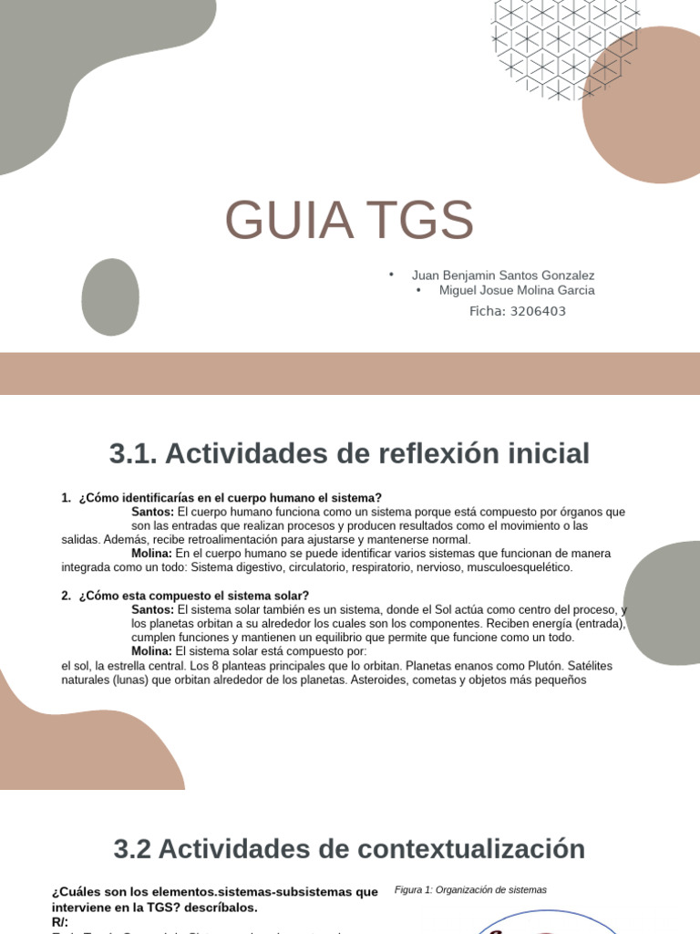 Guia TGS | PDF | Sistema | Satélite natural