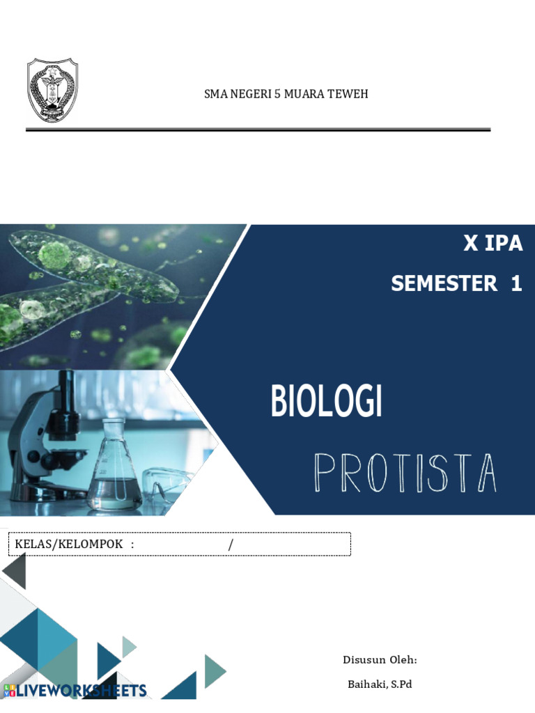LKPD 2 Protista Baihaki | PDF