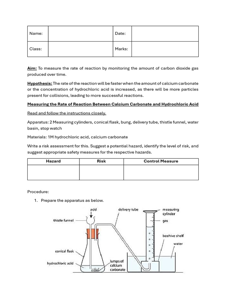 Measuring Reaction Rates: CO2 Production | PDF