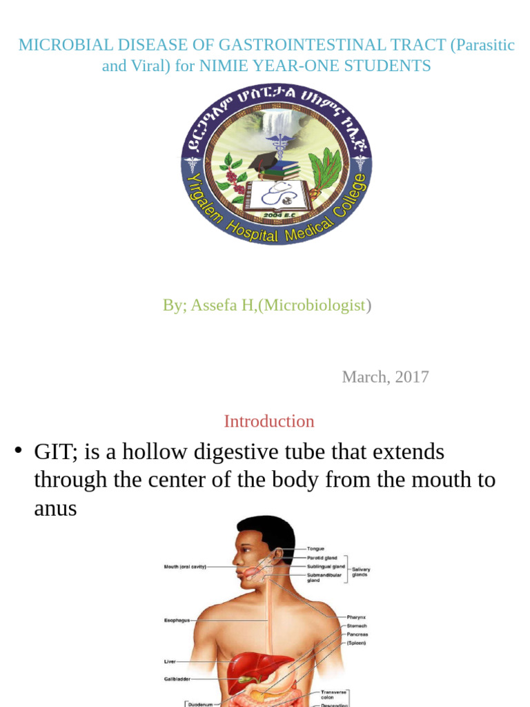 Gastrointestinal System Parasites | PDF | Gastrointestinal Tract | Biology