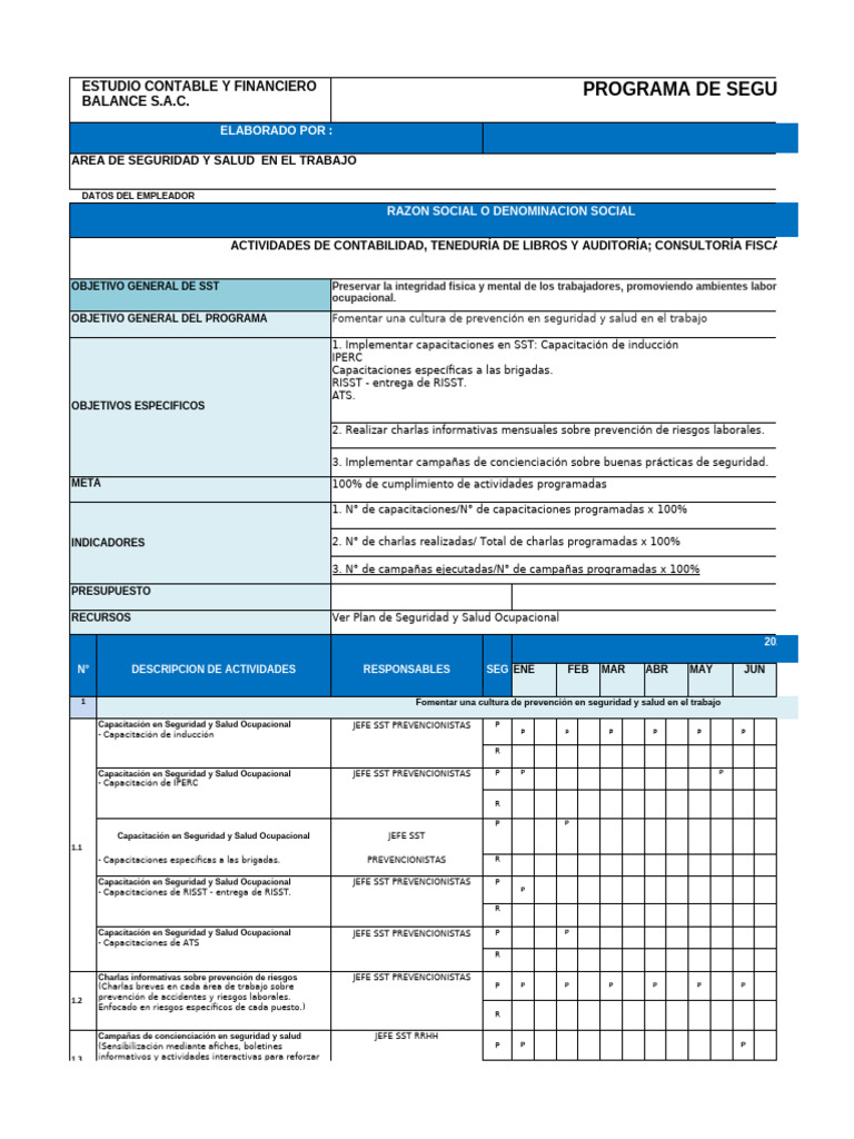 Programa Sst-Estudio Contable y Financiero Balance | PDF | Seguridad y salud ocupacional | La ...