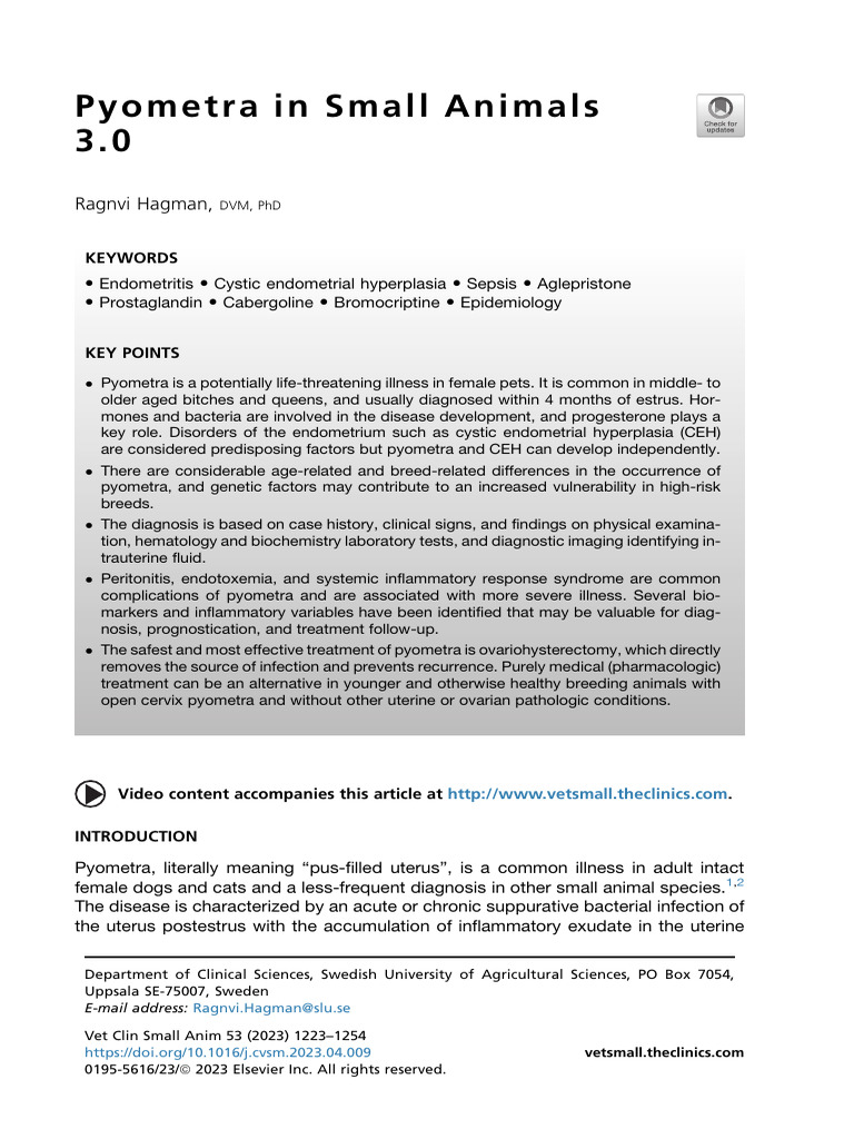 Pyometra 3.0 | PDF | Uterus | Sepsis