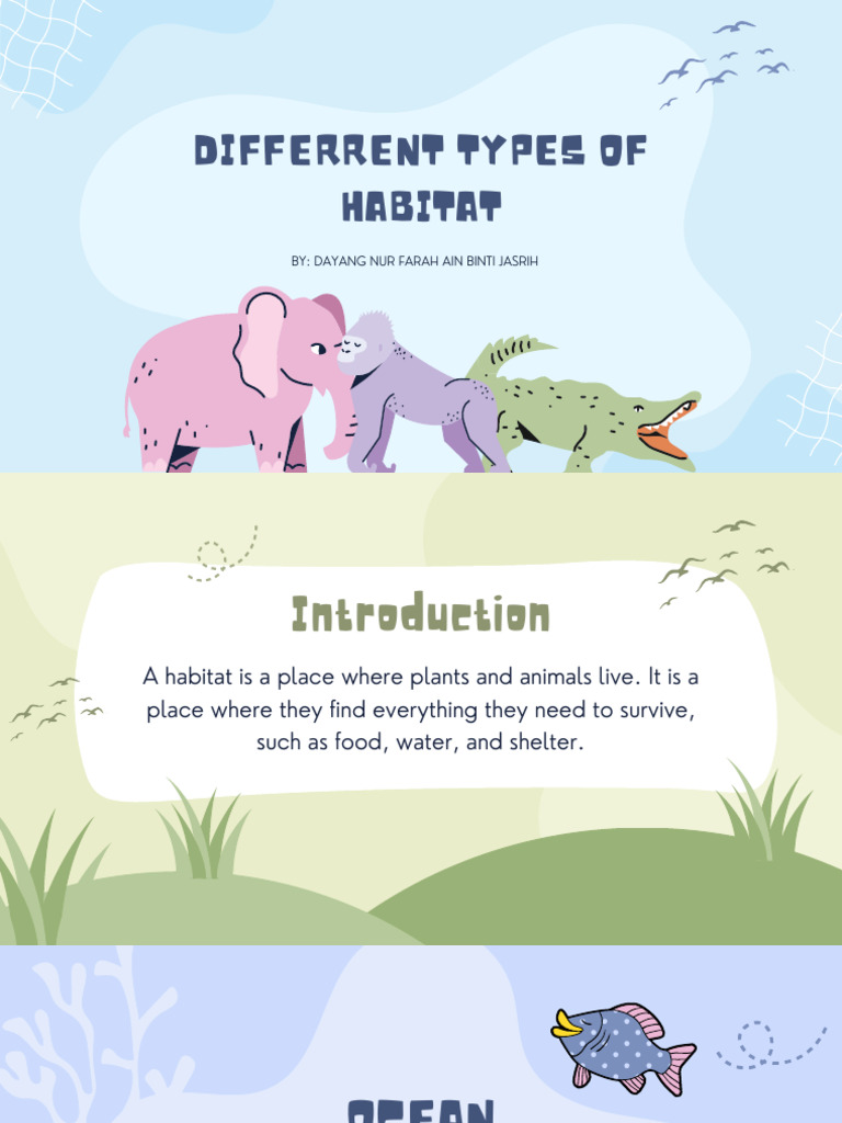 Types of Animals Based On Habitat | PDF