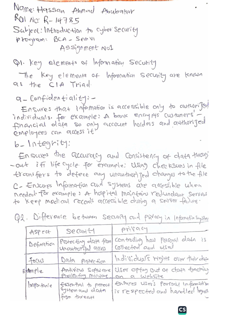Cybersecurity Assignment | PDF