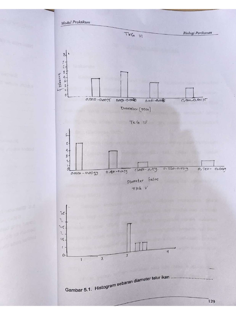Nurul Aeni Grafik Bab 2 | PDF
