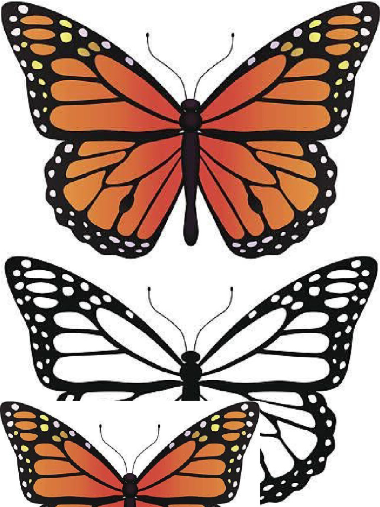 MARIPOSAS | PDF