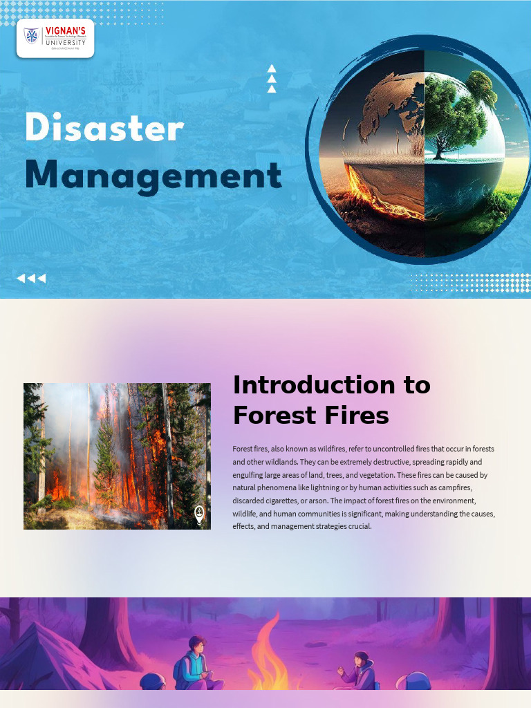 Introduction To Forest Fires | PDF | Wildfire | Nature