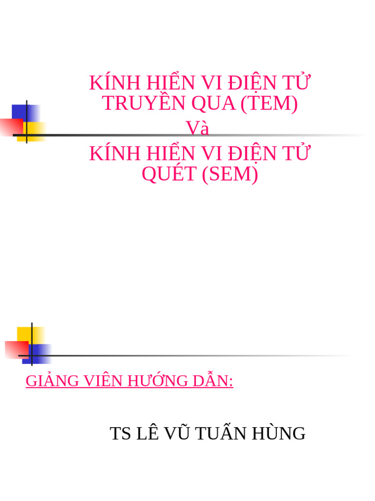 Kinh Hien VI Dien Tu (SEM&TEM) | PDF