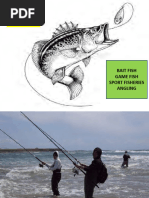 ORI Fish Fact Sheet Geelbek | PDF | Spawn (Biology) | Fish