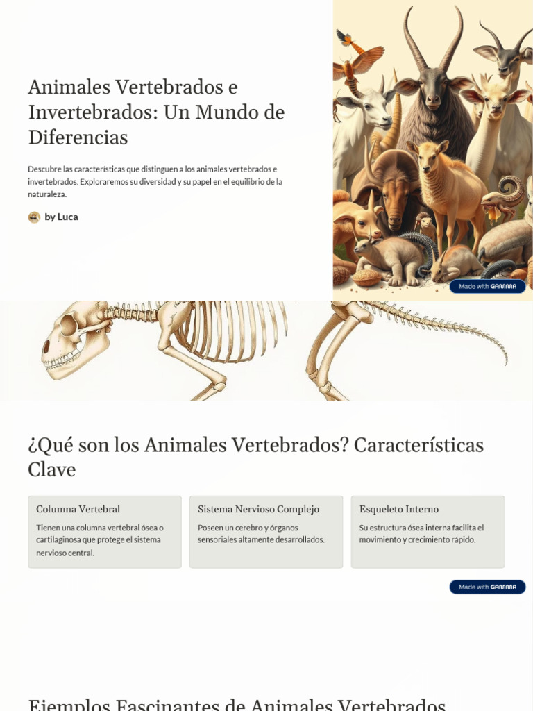 Animales Vertebrados e Invertebrados Un Mundo de Diferencias | PDF ...