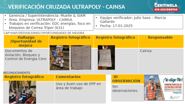 Ppt Auditoria Cruzada Ultrapoly - Cainsa 17-01-2025 | PDF