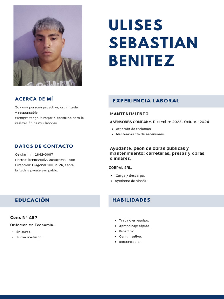 CV Ulises Benitez | PDF
