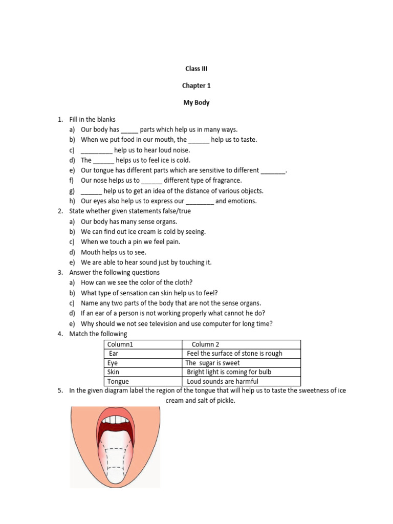Class 3 Chapter 1-2 | PDF | Senses | Shrub