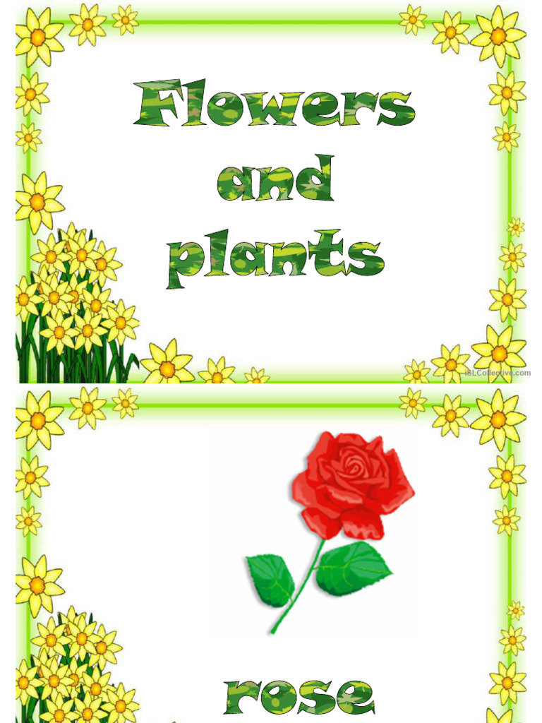 Flowers & Plants | PDF