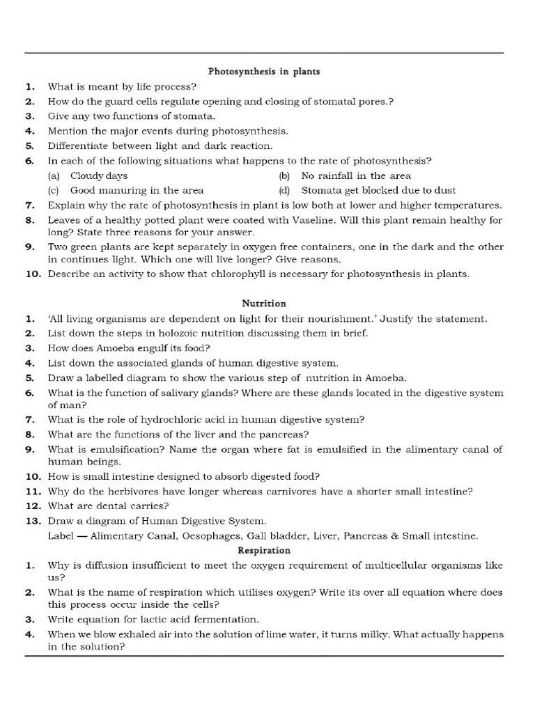 Worksheet On Life Processes 2 | PDF