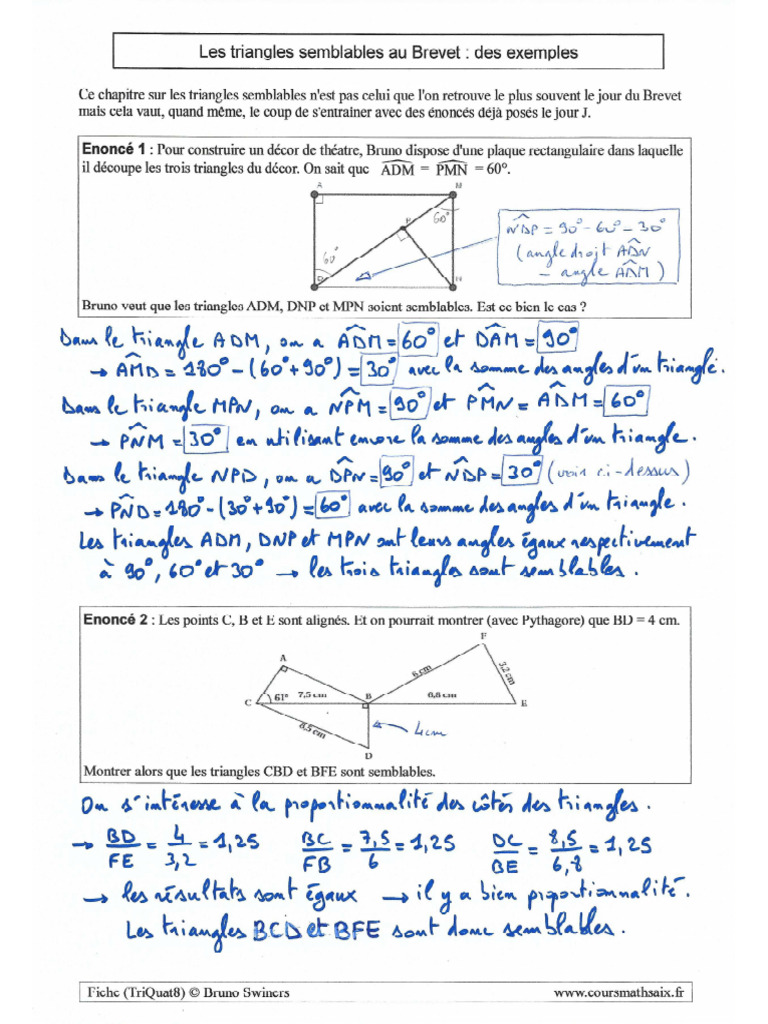 Les Triangles Semblables Au Brevet Des Exemples | PDF