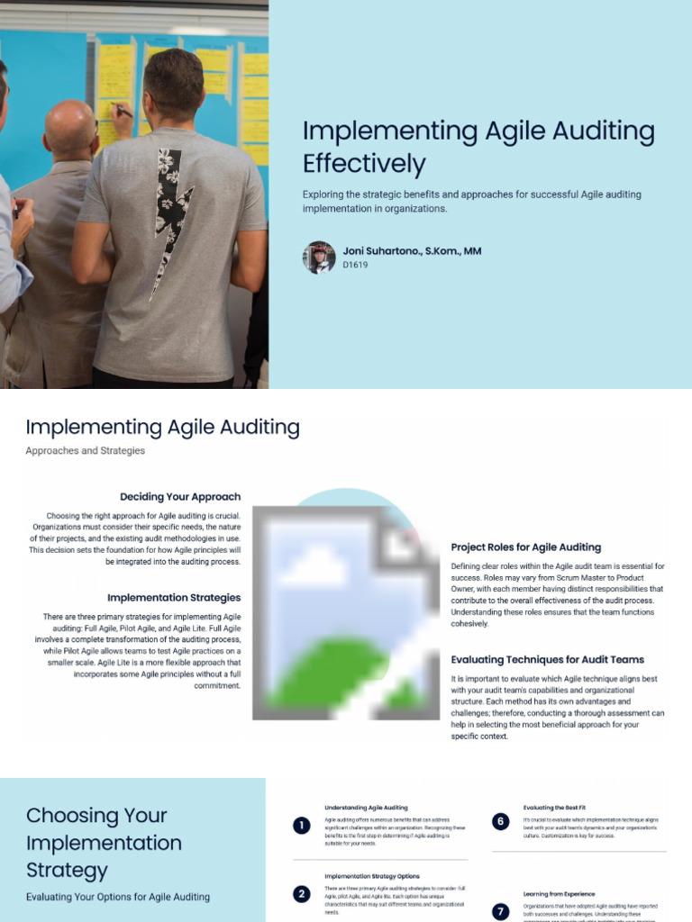 7 Oagile Audit - Process | PDF