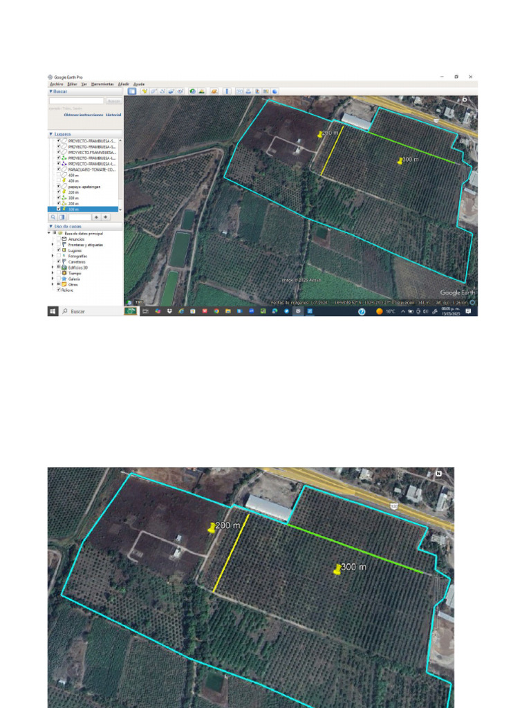 Proyecto Papaya Apatzingan | PDF