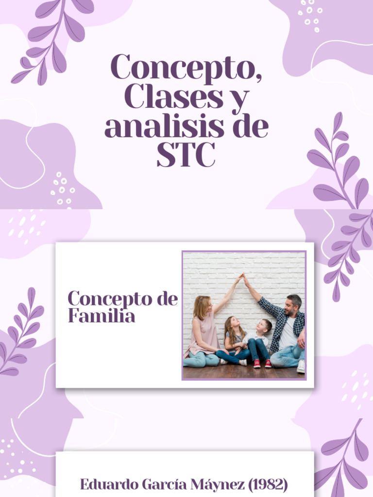 Concepto, Clases y Análisis de STC FAMILIA | PDF | Familia | Adopción