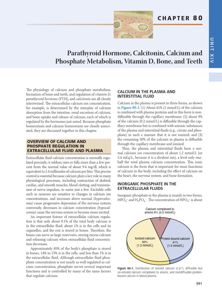 Calcium | PDF | Bone | Osteoblast