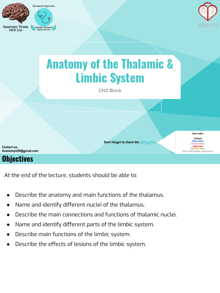 18- anatomy of the thalamic and limbic system | PDF | Thalamus | Limbic ...