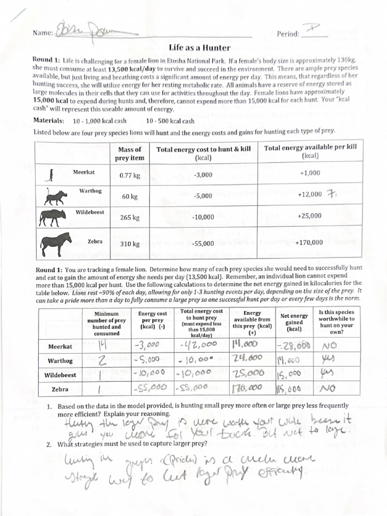 Lions | PDF