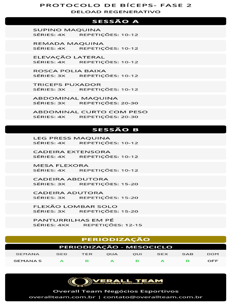 TREINO - PROTOCOLO DE BÍCEPS- FASE 2 | PDF
